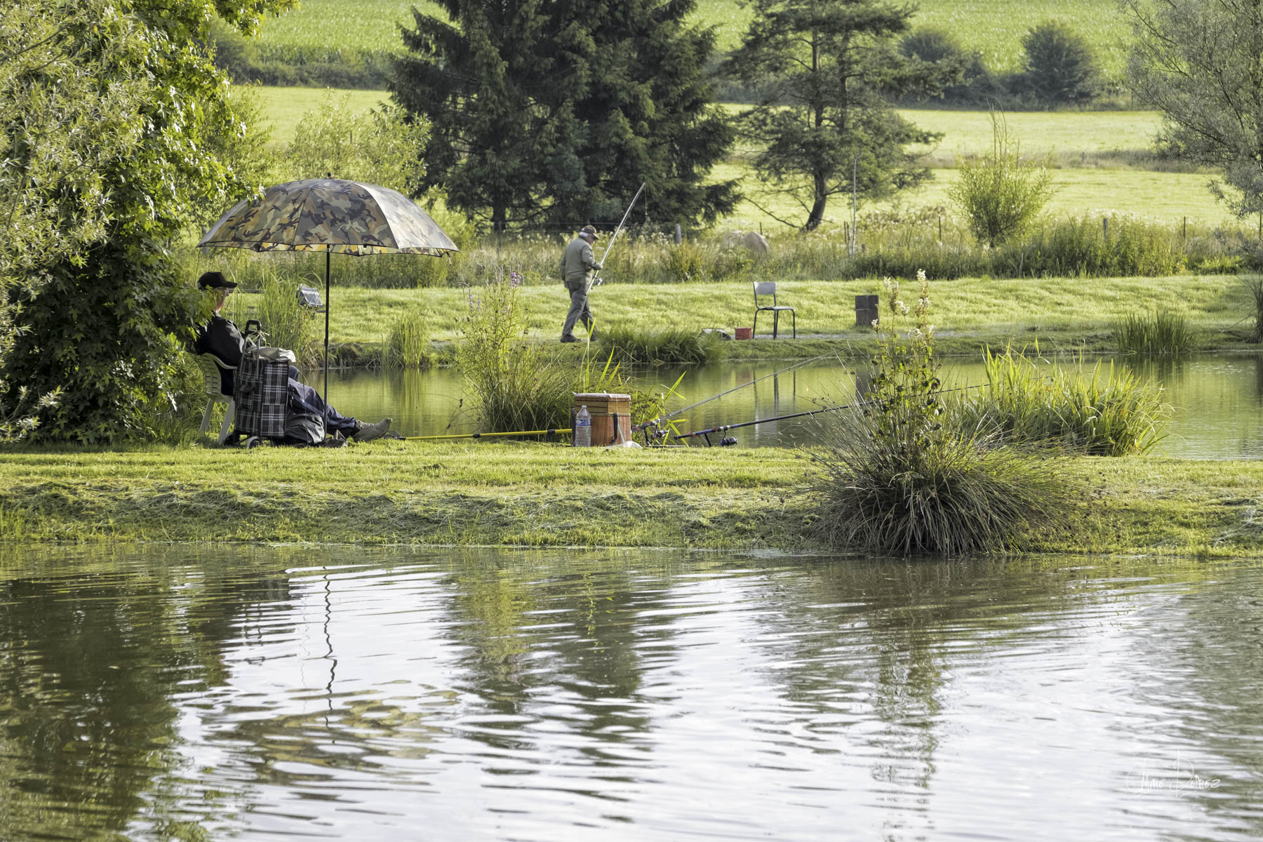 Gîtes "Rêve d'Eau" aux "Etangs de Cendron"